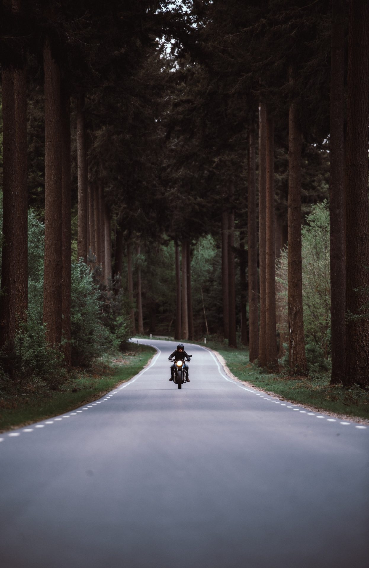 Motorcycle Crash? Fight Like Hell and Win Big in Court - The Law ...